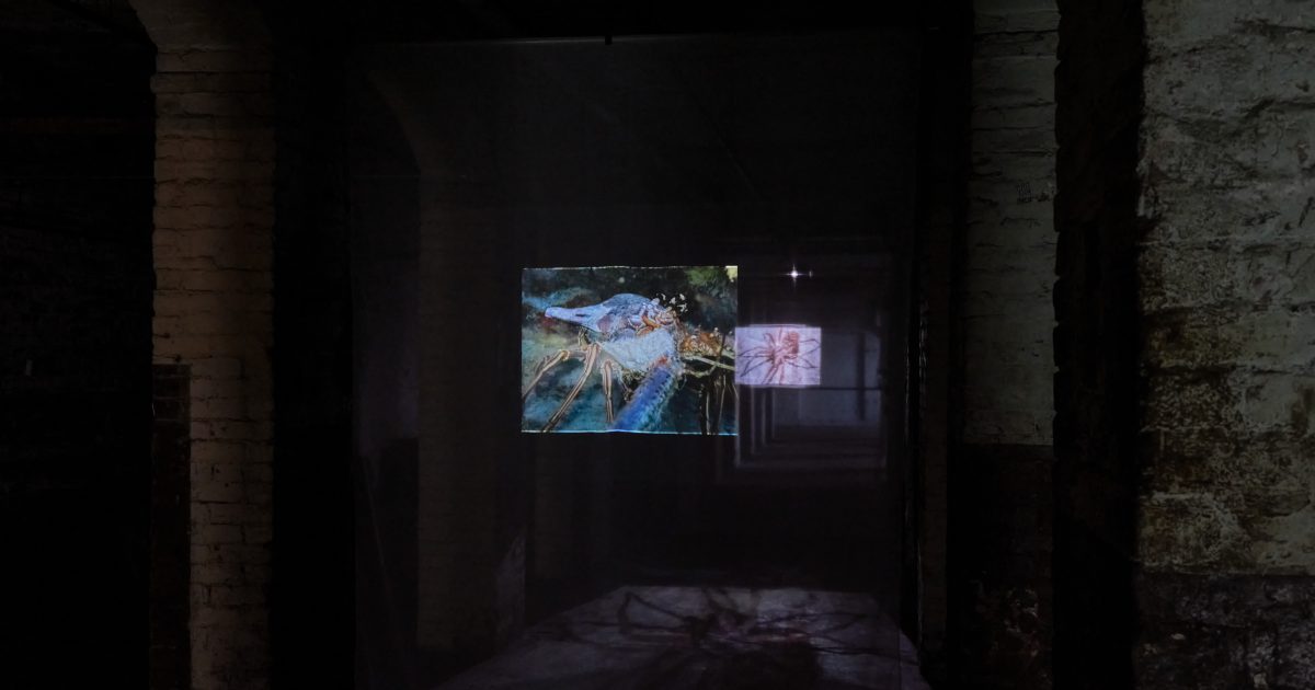 Adriana Ramić | Kamen